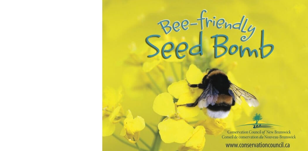 Plant a feast for our bees - CCNB