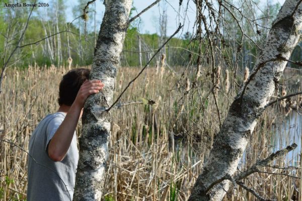 Exploring the Biodiversity of Hyla Park - CCNB