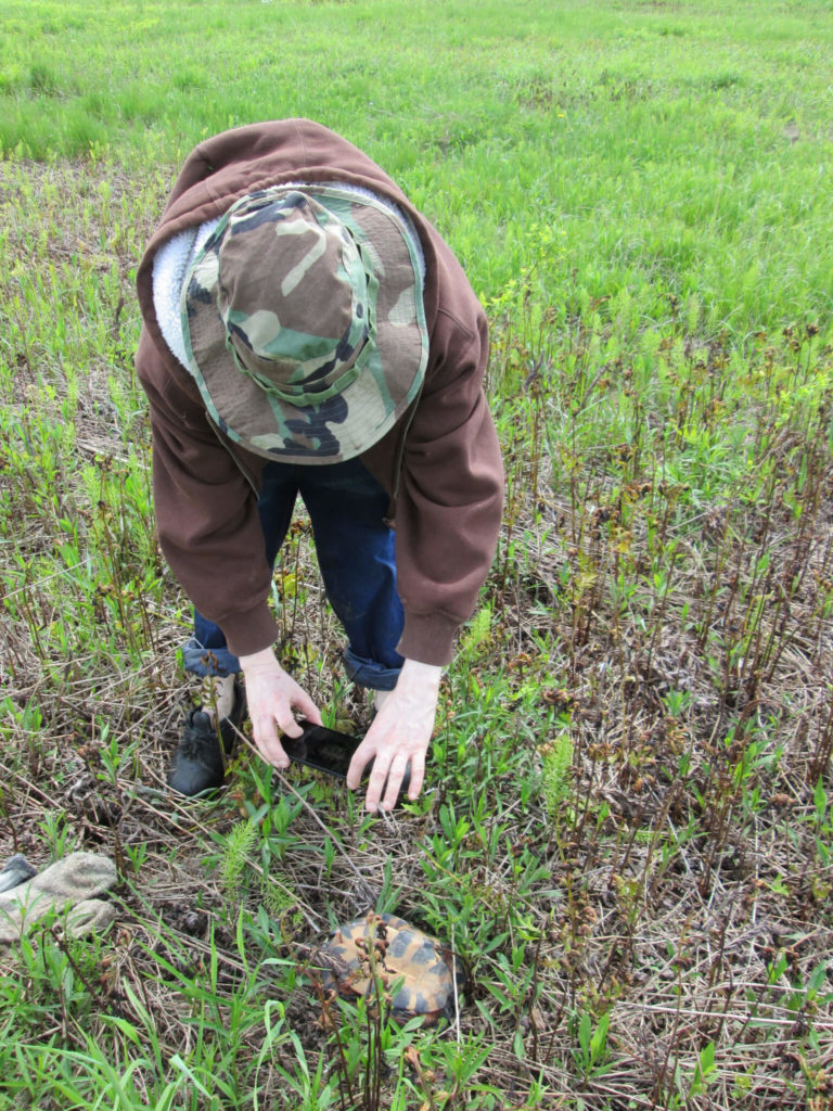 Could concerns over health, safety and a turtle stop a third quarry in ...