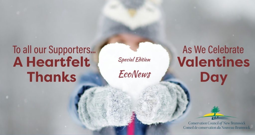 EcoNews — Five things to love on Valentine’s Day - CCNB