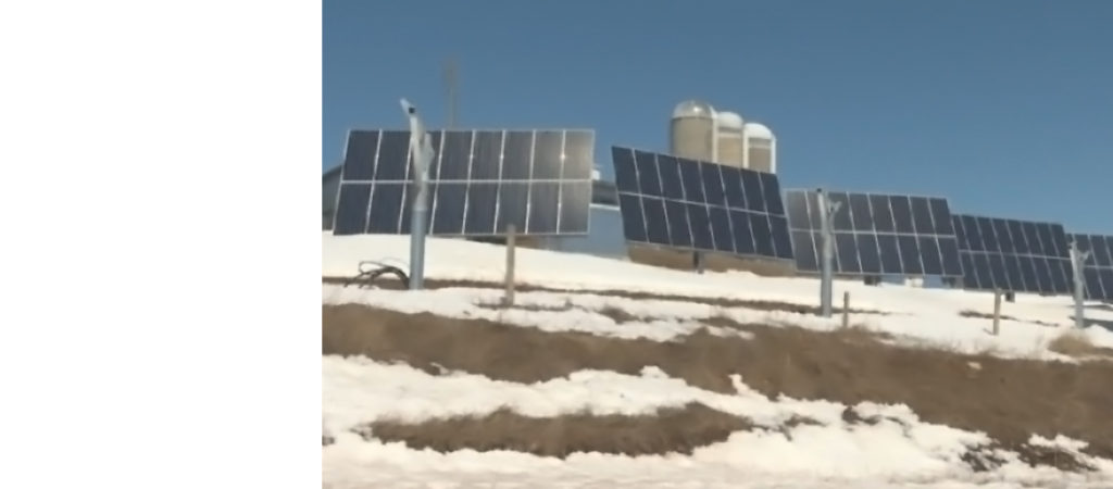 Solar herd: check out N.B’s first solar farm on Open Farm Day! - CCNB