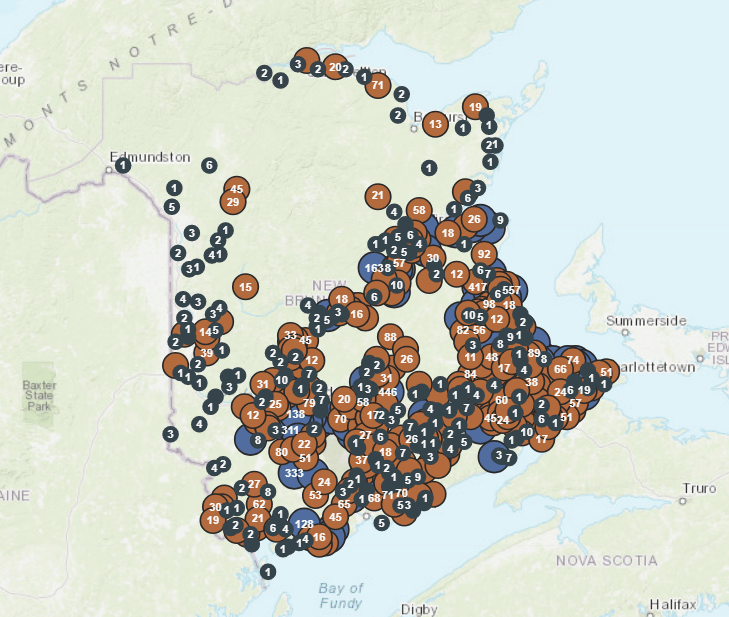 November’s wicked wind storm in photos and tweets - CCNB