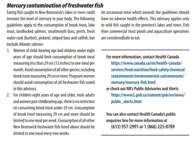 Mercury contamination in N.B. fish: what you need to know - CCNB