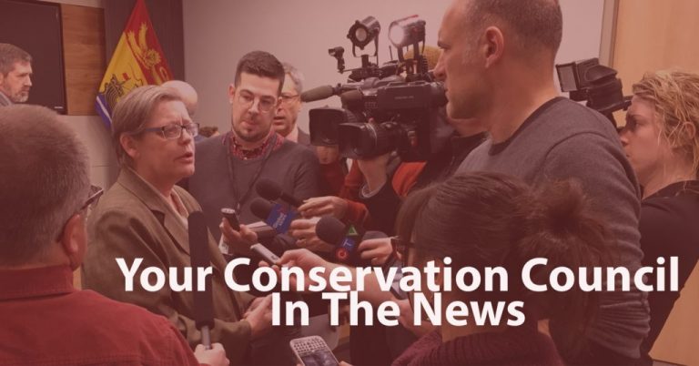 Comeau comments on NB Power’s energy efficiency program for homeowners ...