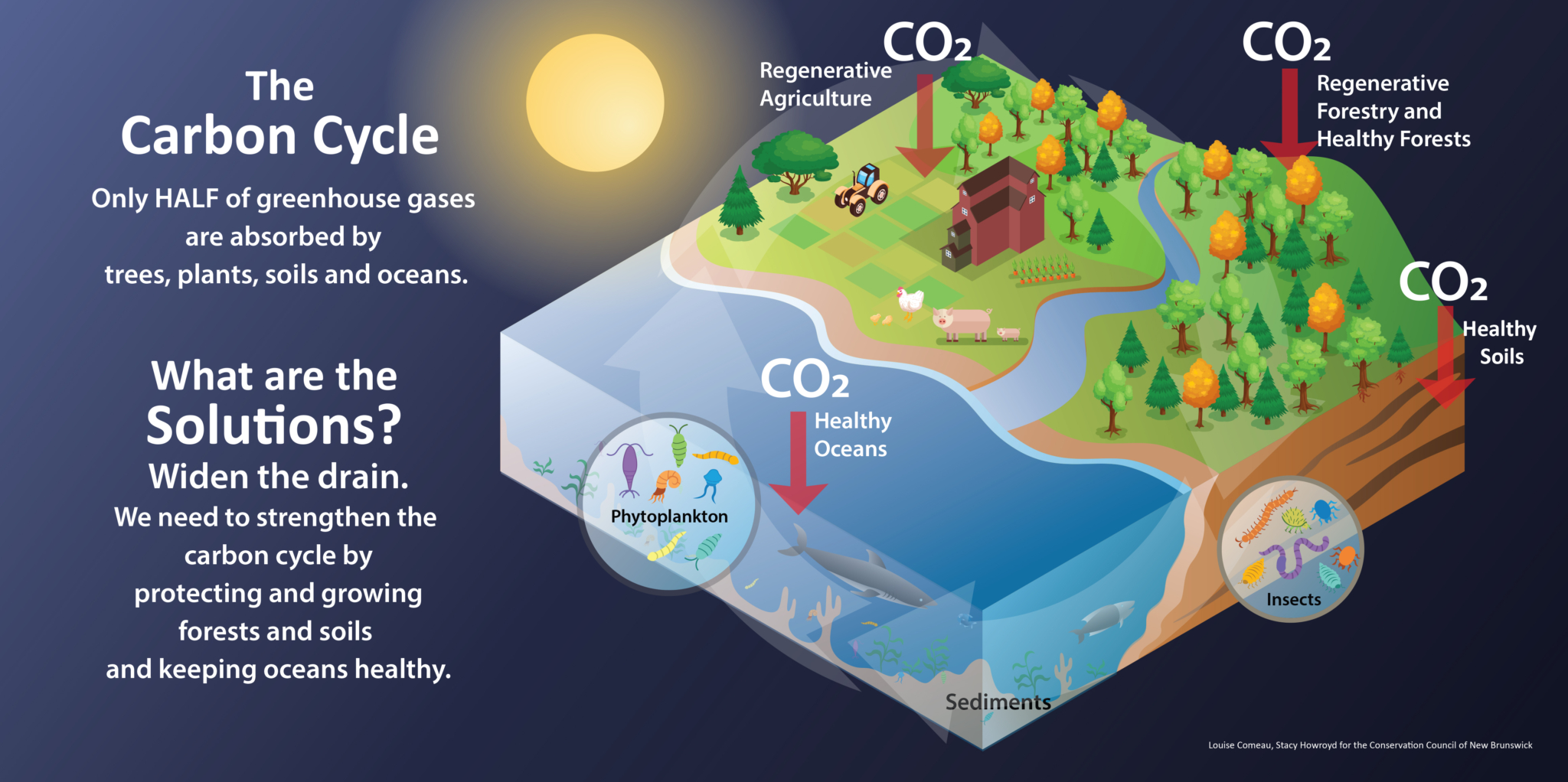 How global heating works - CCNB