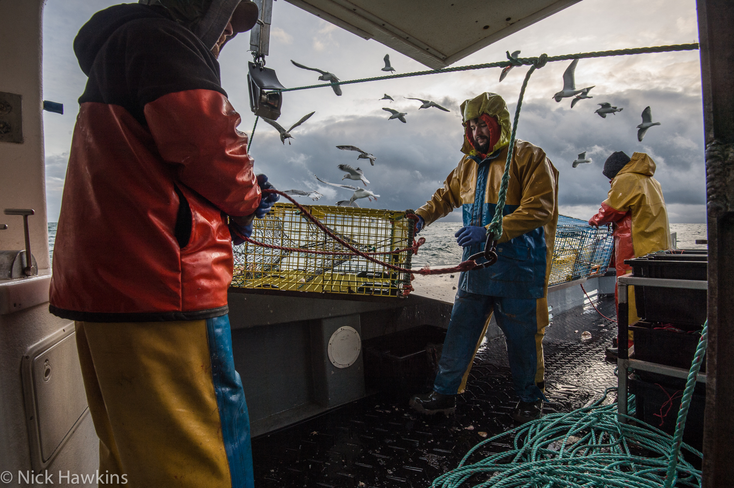 Marine Conservation Programs - CCNB