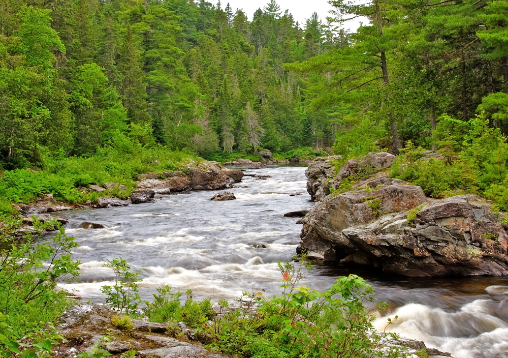 La foresterie communautaire - CCNB