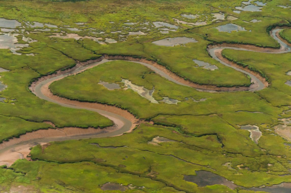 Estuaries and Salt Marshes in New Brunswick - CCNB