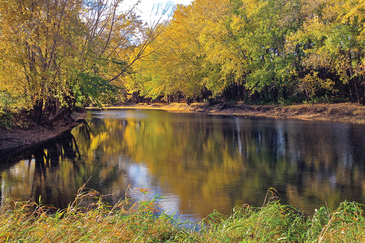 Our Freshwater Protection Programs - CCNB