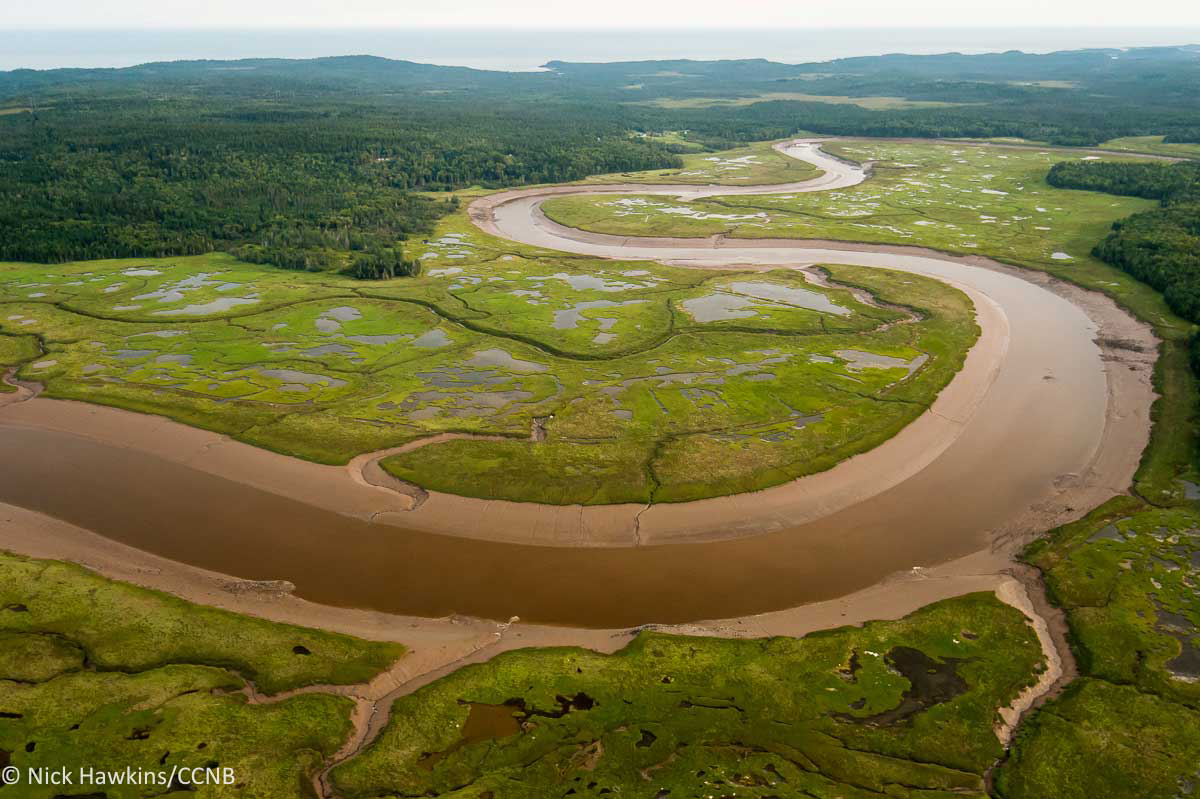 Marine Conservation Programs - CCNB