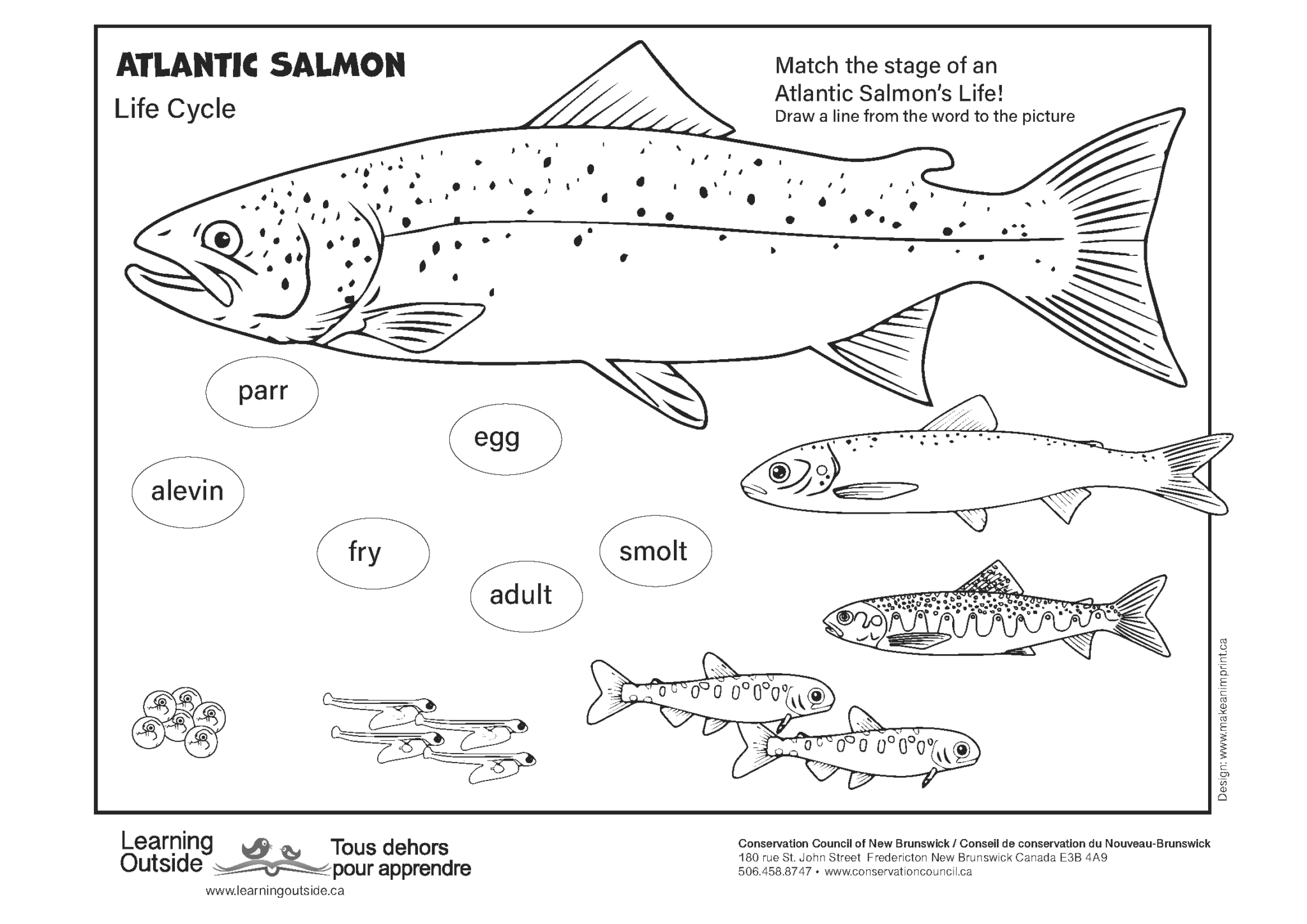 Educational Colouring Sheets - CCNB