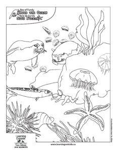 Educational Colouring Sheets - CCNB