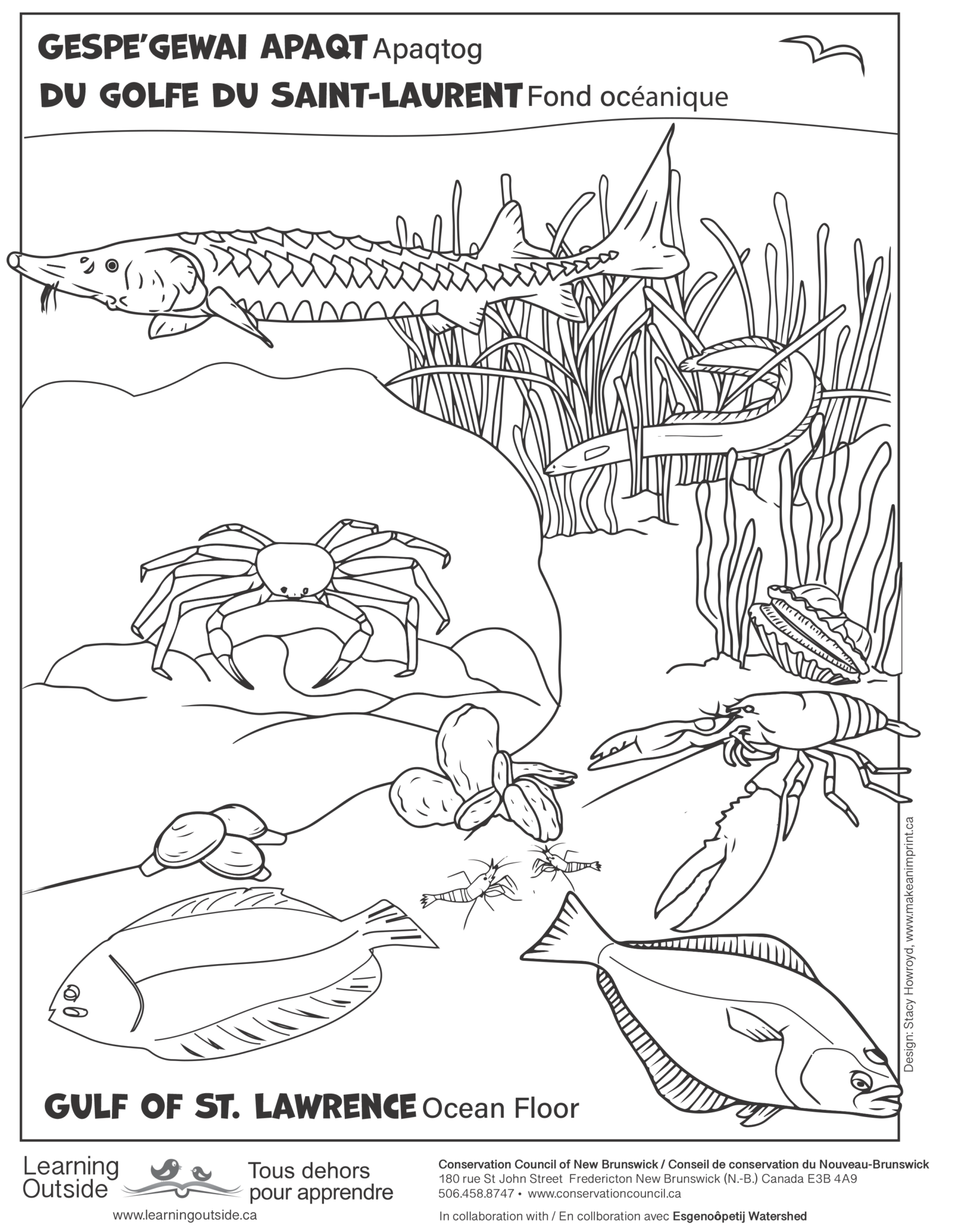 Educational Colouring Sheets - CCNB