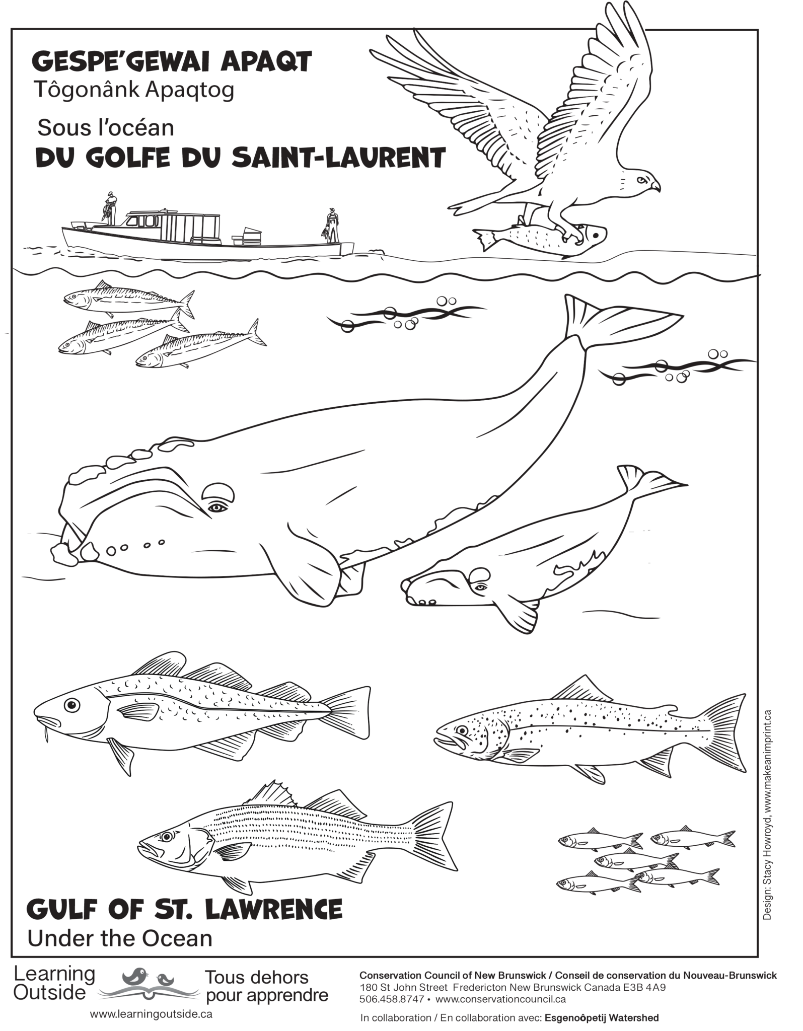 Educational Colouring Sheets - CCNB