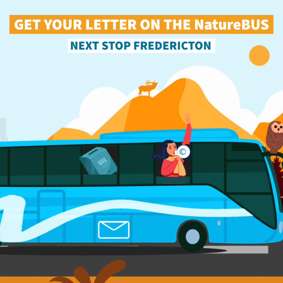 Get your message for NatureCOP on the NatureBus! - Nouzie
