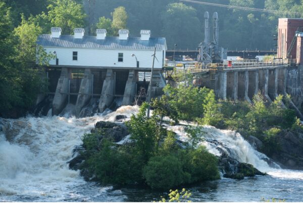 Alewife are running up the Milltown Dam fishway for the last time! - CCNB