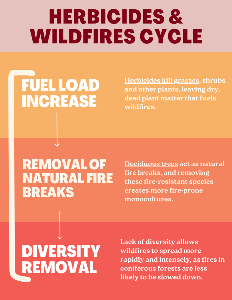 Wildfires in a changing climate - CCNB