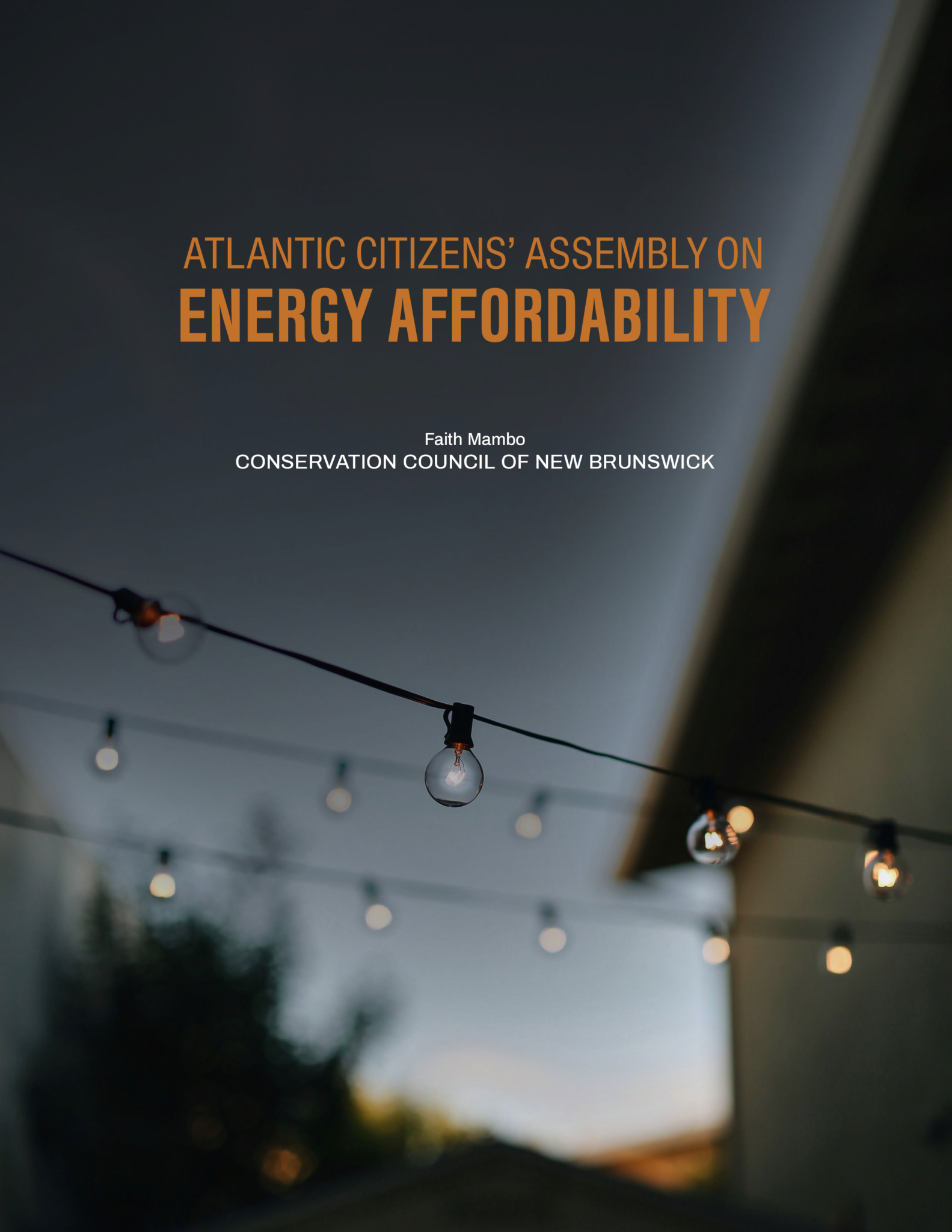 The Atlantic Citizens’ Declaration on Electricity Affordability - CCNB